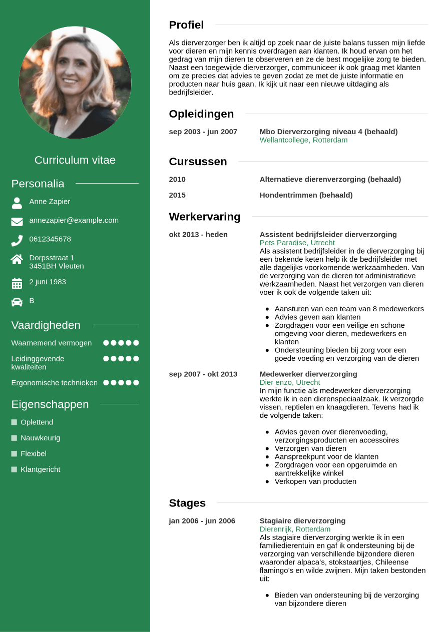 CV-templates en Lay-outs - CV.nl