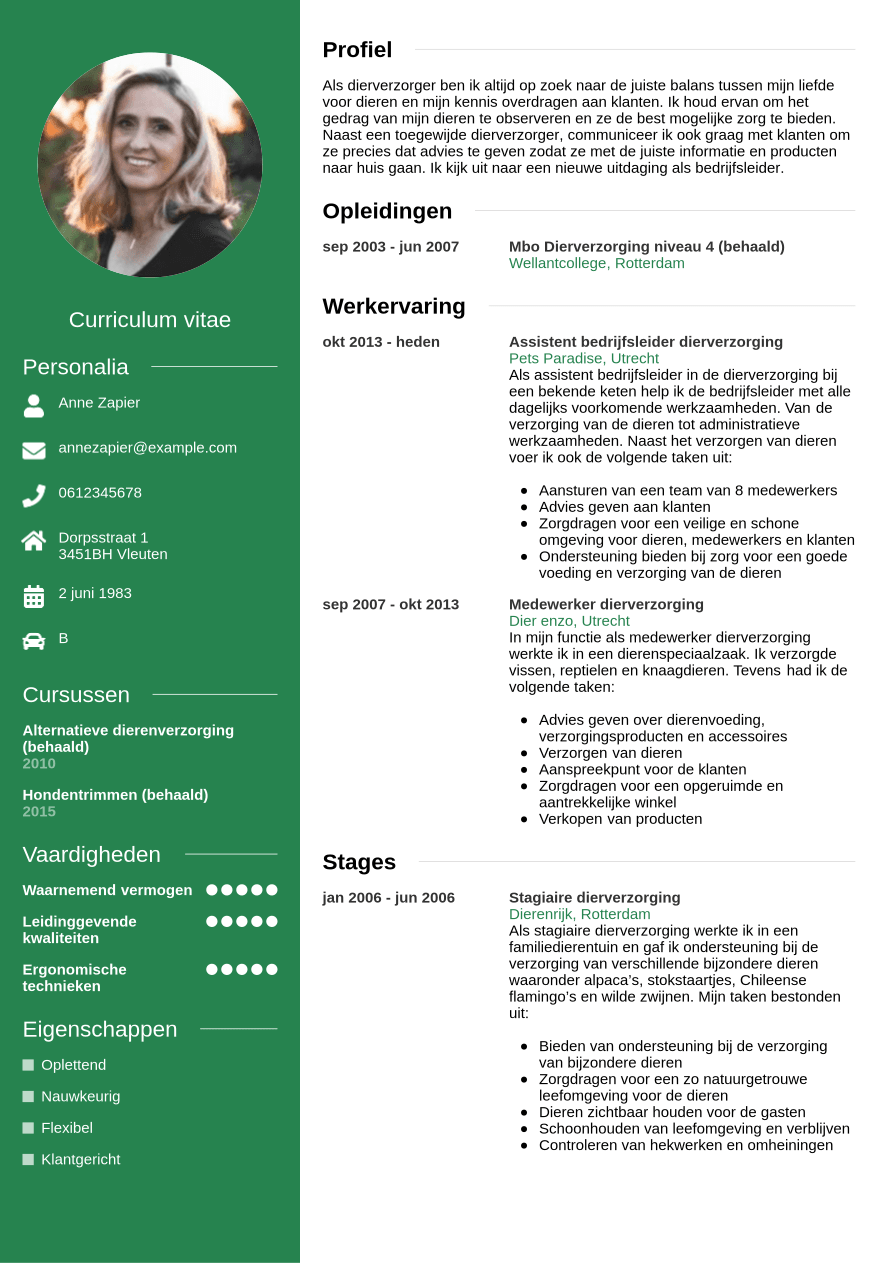 CV-templates en Lay-outs - CV.nl