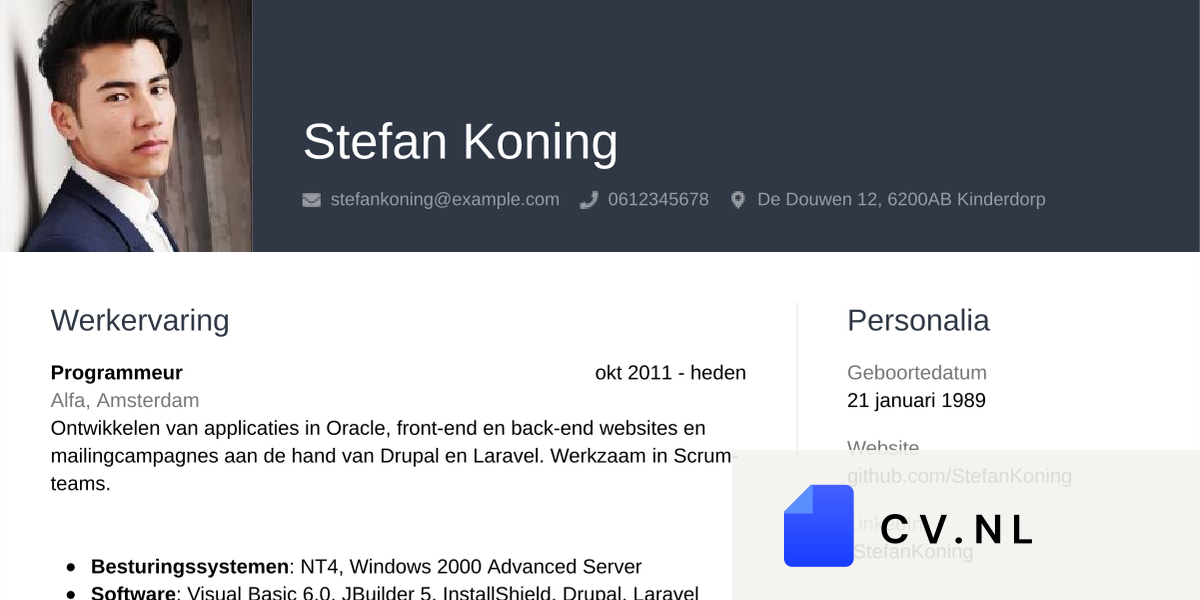 CV voorbeeld programmeur / software developer - CV.nl